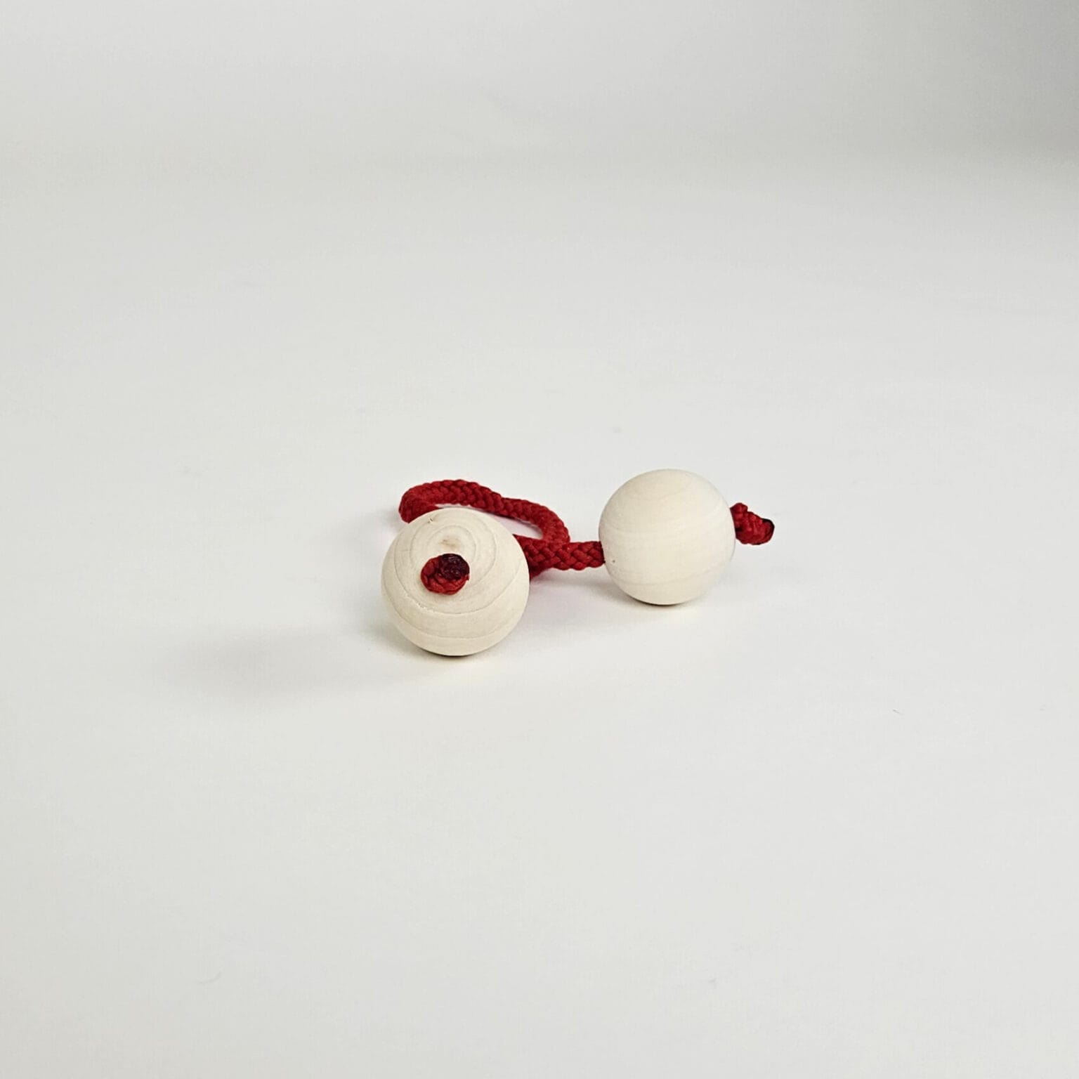 Walking Globes - Handi Life Sport