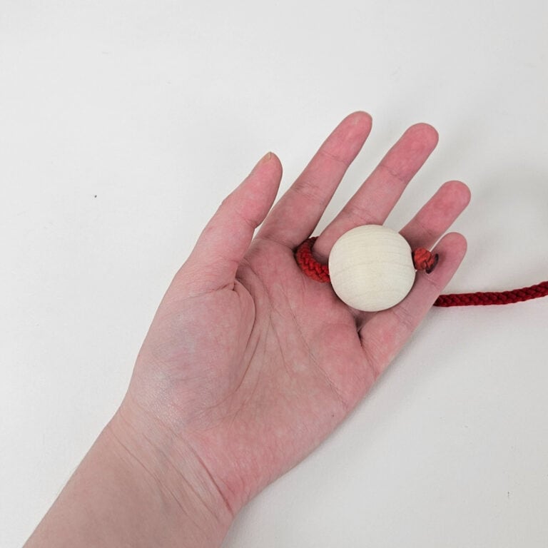 Walking Globes - Handi Life Sport